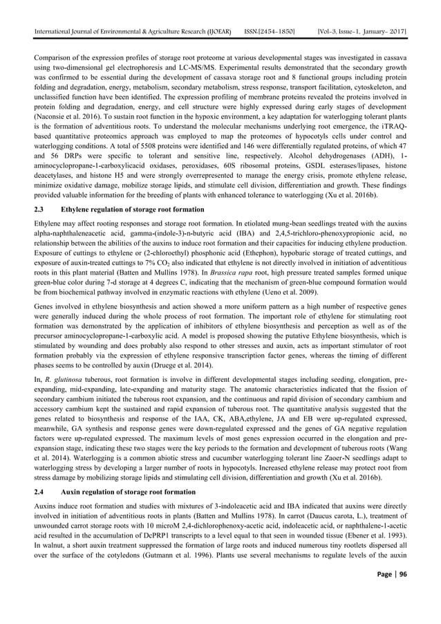 Molecular mechanisms regulating storage root formation in plants | PDF