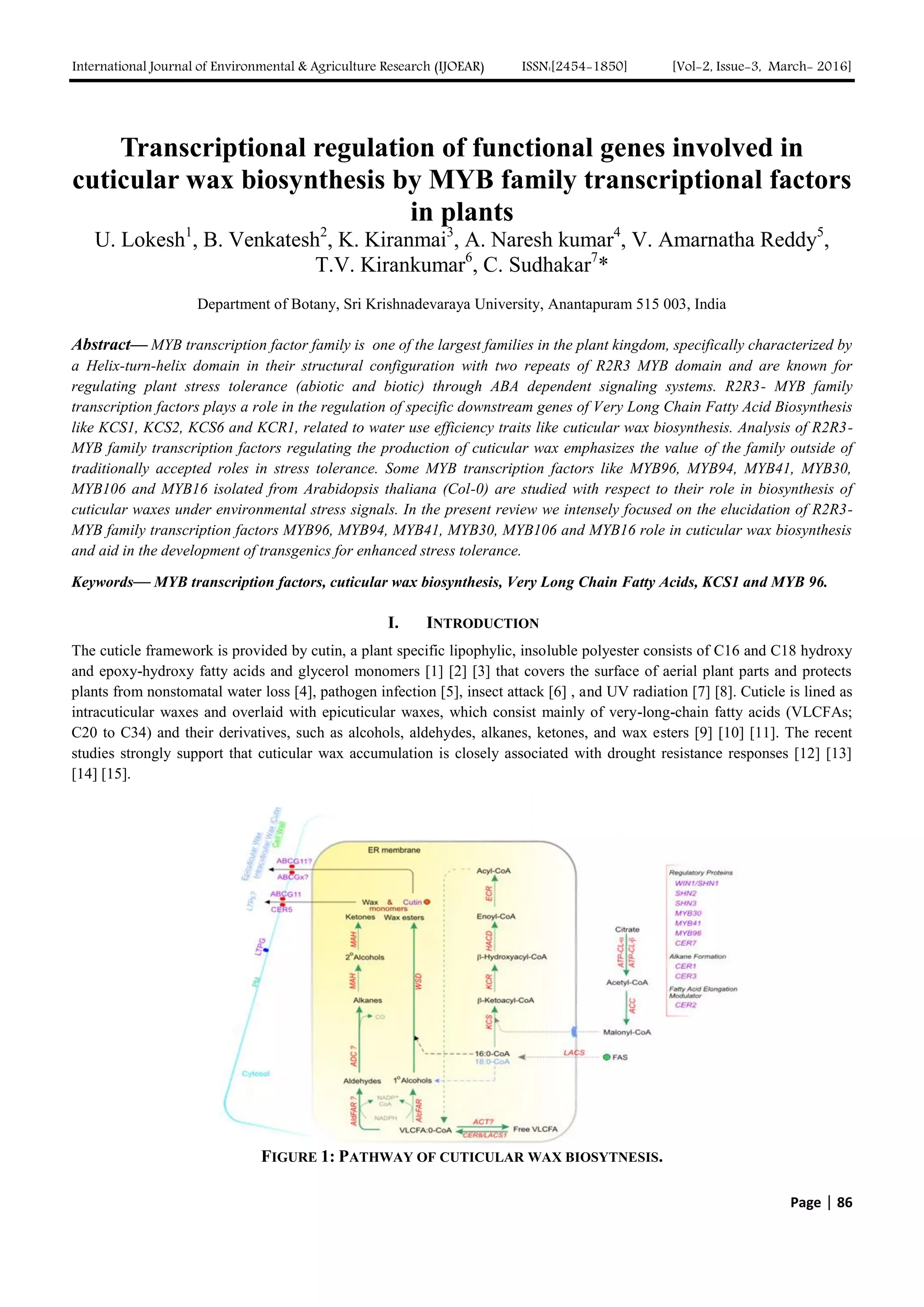 Transcriptional regulation of functional genes involved in cuticular ...