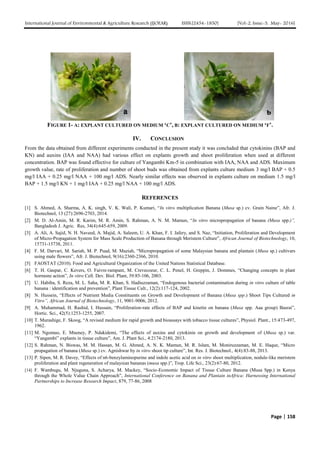 Effects of cytokinins and auxins on micropropagation of Musa spp. cv ...