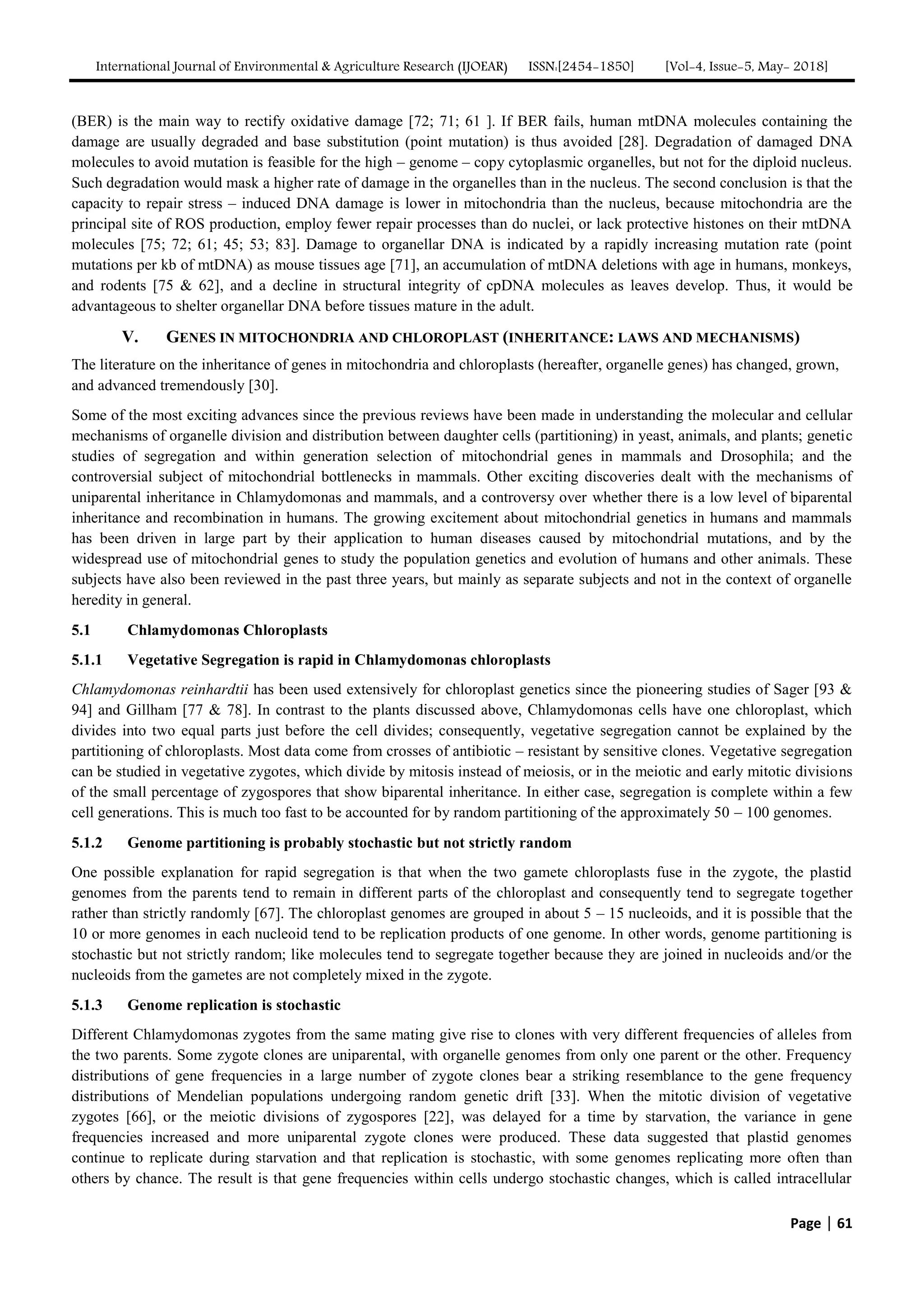 Chloroplasts and Mitochondria: Similarities and Differences | PDF ...