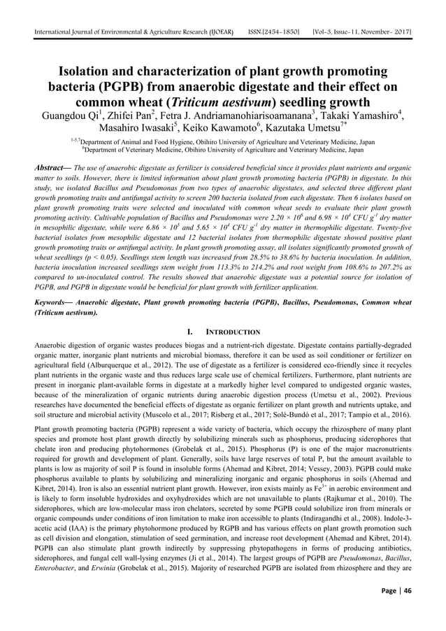 Isolation and characterization of plant growth promoting bacteria (PGPB) from anaerobic ...