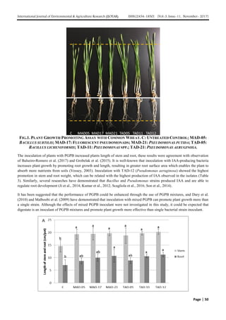 Isolation and characterization of plant growth promoting bacteria (PGPB ...