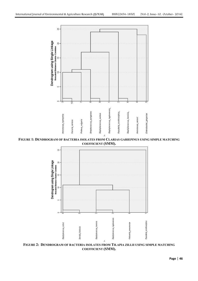 Cluster Analysis of Aerobic Heterotrophic Bacteria from Clarias gariepinus and Tilapia zillii in ...
