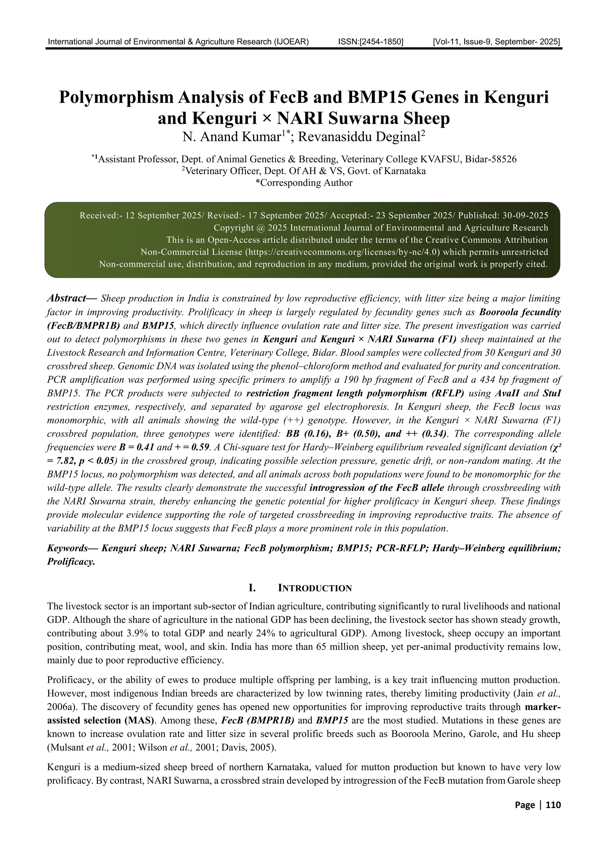Polymorphism Analysis of FecB and BMP15 Genes in Kenguri and Kenguri × ...