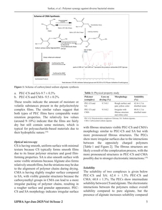 Polymer Synergy in Action: Antimicrobial Properties of Chitosan ...