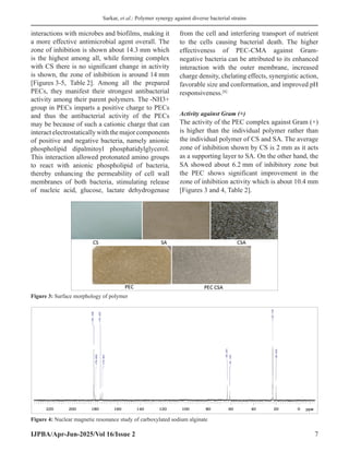 Polymer Synergy in Action: Antimicrobial Properties of Chitosan ...