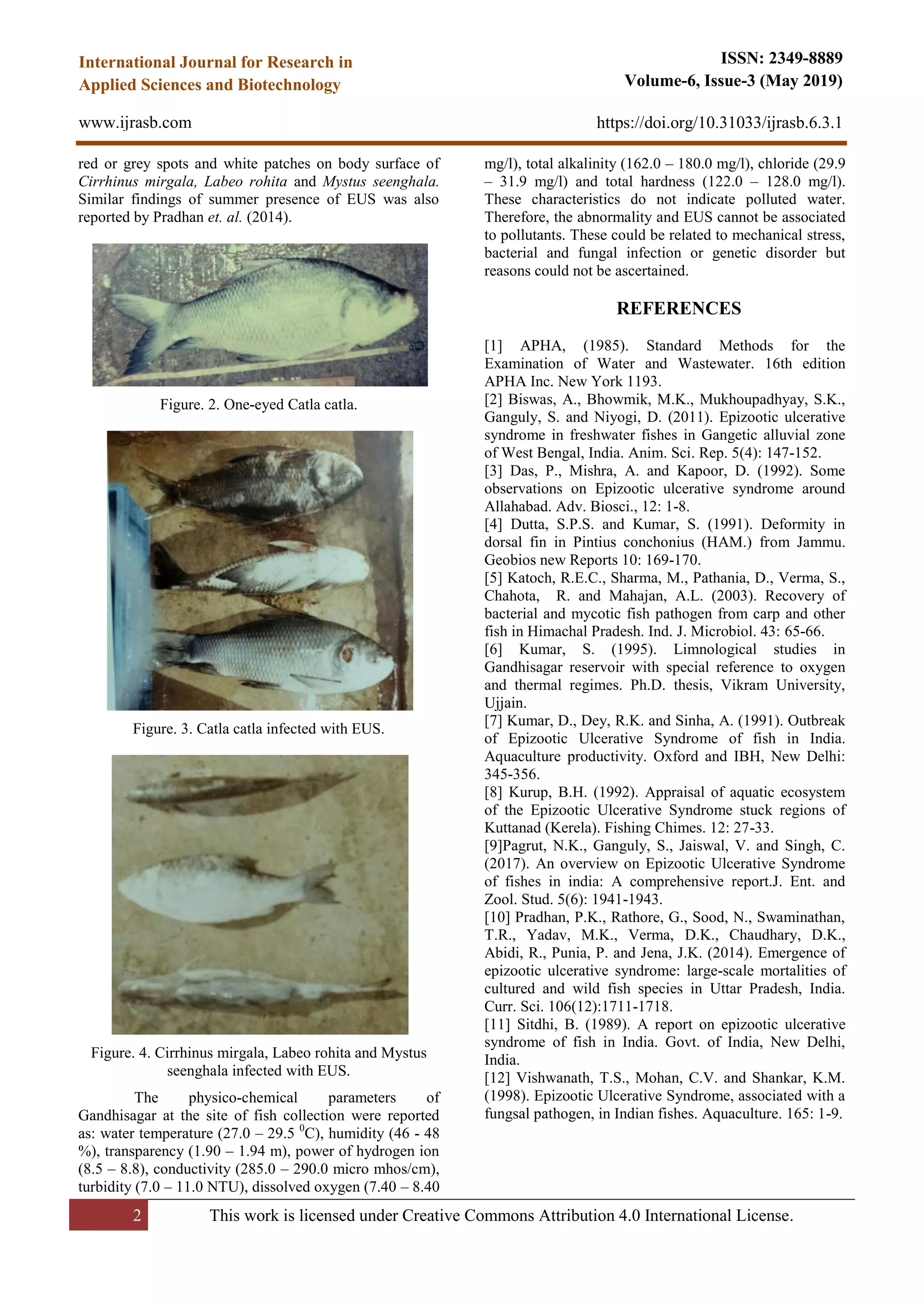 The Studies on Morphological Abnormality and Epizootic Ulcerative ...