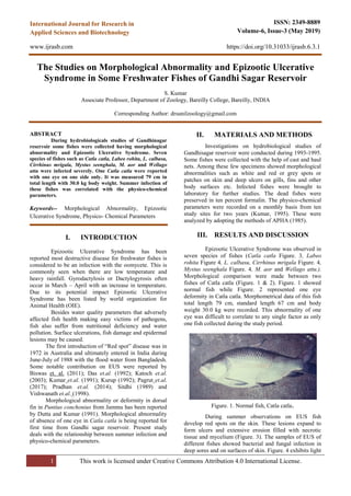 The Studies on Morphological Abnormality and Epizootic Ulcerative ...