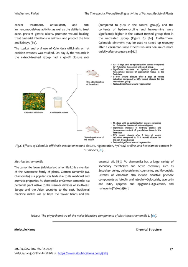 The Therapeutic Wound Healing activities of Various Medicinal Plants ...