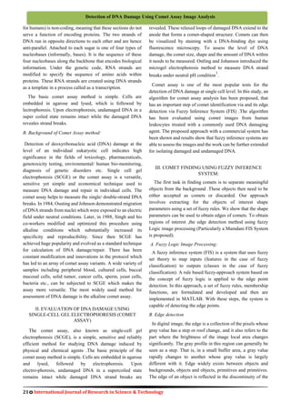 Detection of DNA Damage Using Comet Assay Image Analysis | PDF