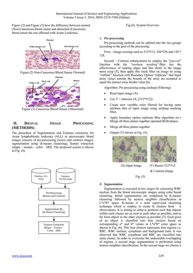 Microscopic Digital Image Segmentation And feature Extraction of Acute Leukemia | PDF
