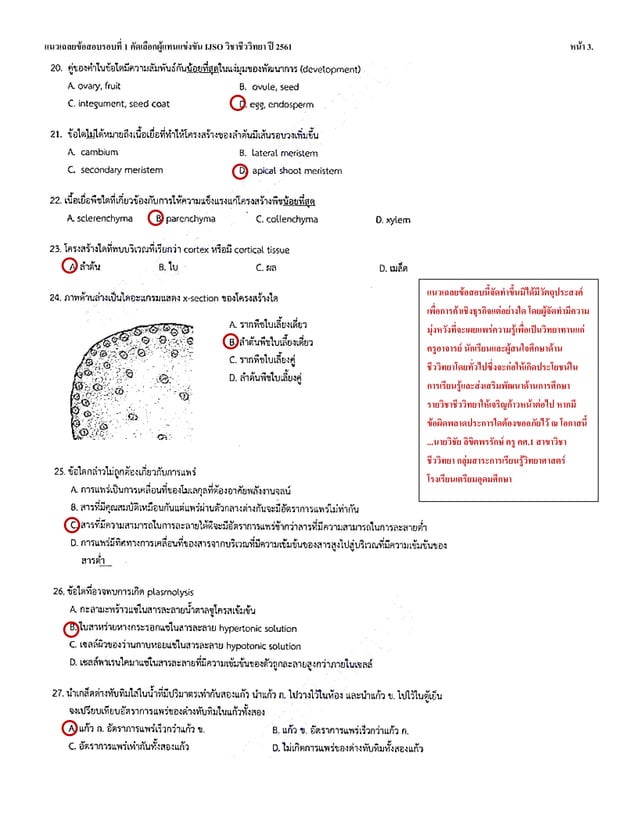 Ijso biology 2561 | PDF
