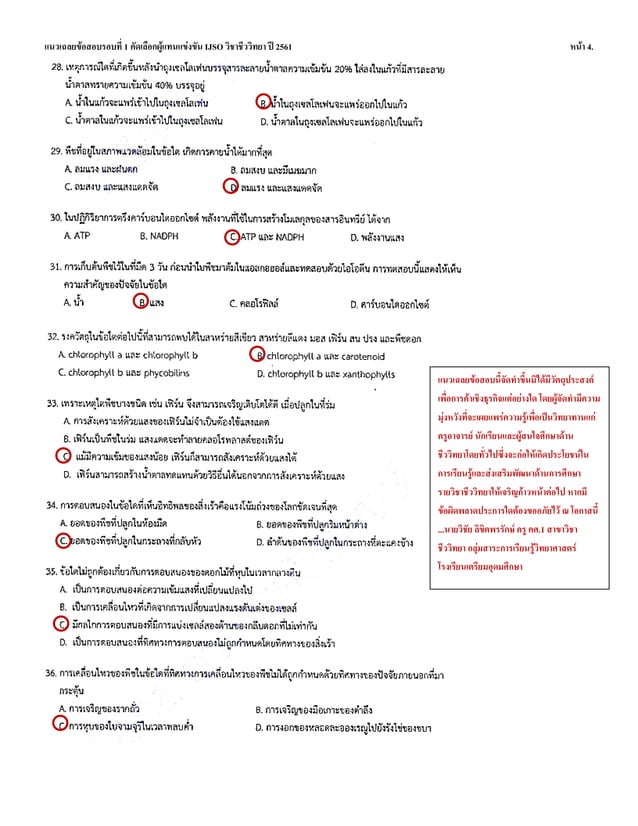 Ijso biology 2561 | PDF