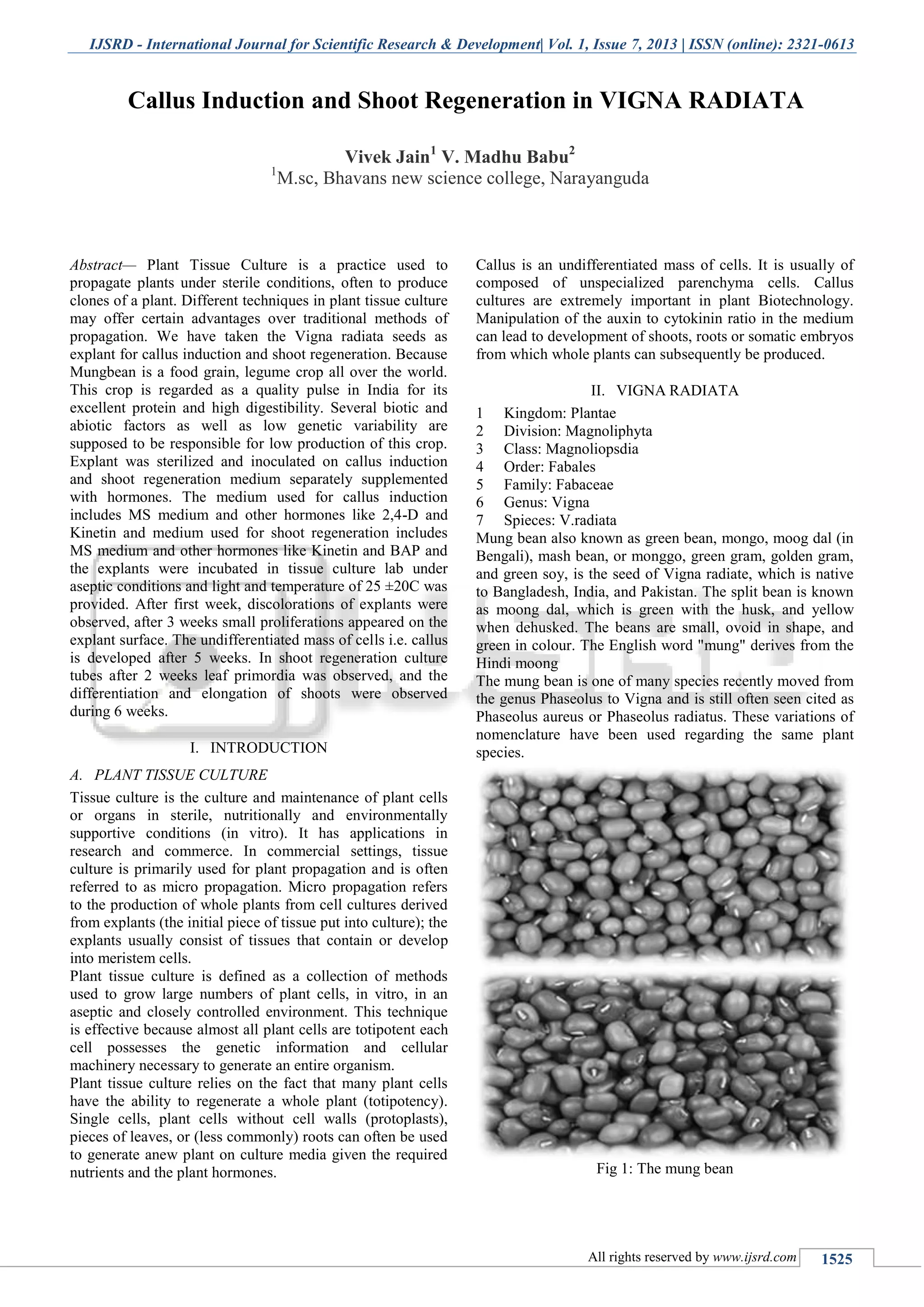 Callus Induction and Shoot Regeneration in VIGNA RADIATA | PDF