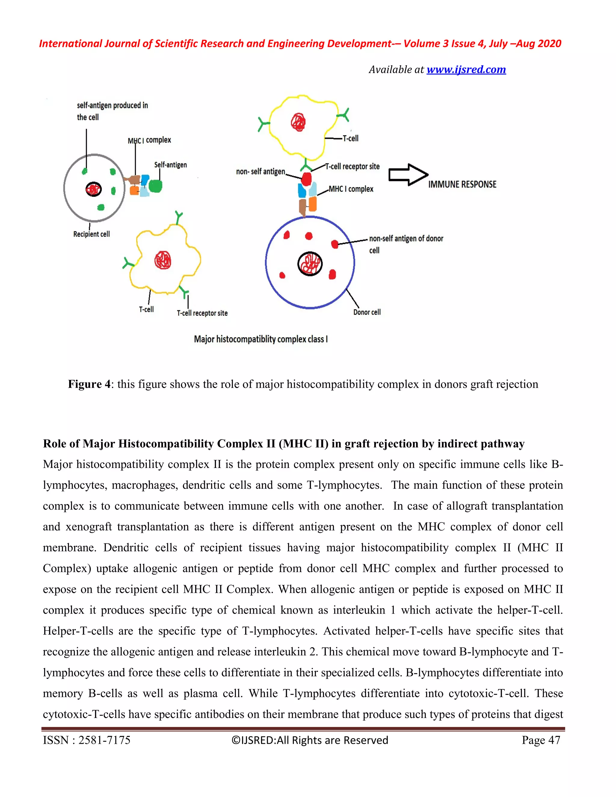 Organ Transplantation Methods and Major Reasons of Organ Rejection | PDF