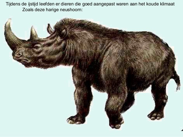 Ijstijd