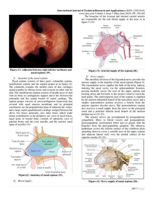 TRANS-SEPTAL SUTURE METHOD VERSUS INTRANASAL SILICONE SPLINT IN SEPTO…