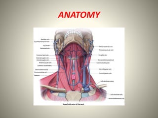anatomical review of internal jugular vein cannulation.pptx