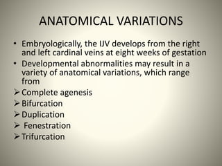 anatomical review of internal jugular vein cannulation.pptx