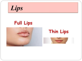 Describing people | PPTX