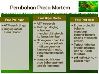 Ikan dan Hasil Perairan | PPTX