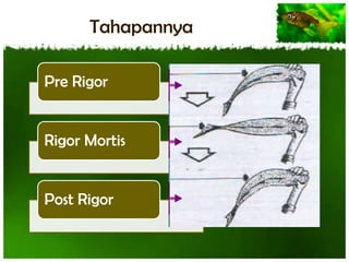 Ikan dan Hasil Perairan | PPTX