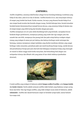 KLASIFIKASI HEWAN Ikan (PISCES), Burung (AVES), MAMALIA, AMPHIBIA ...