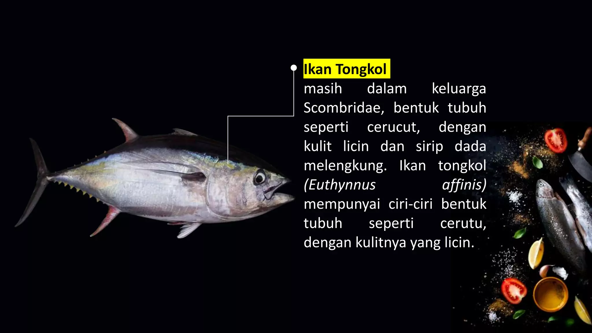 ikan.pptx