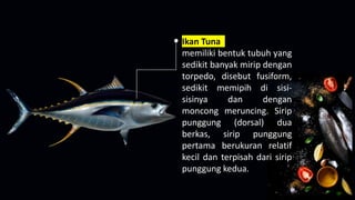 ikan.pptx