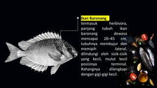 ikan.pptx