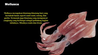 Ikan dan hasil laut | PPTX