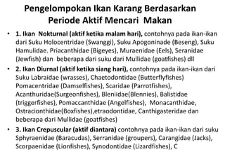 Ikan demersal dan ikan karang | PPTX