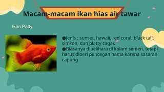 power point materi ikan hias mata pelajaran pkwu kelas XI | PPTX
