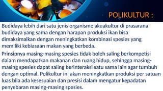 Budidaya ikan kerapu dan beronang dengan sistem polikultur.pptx