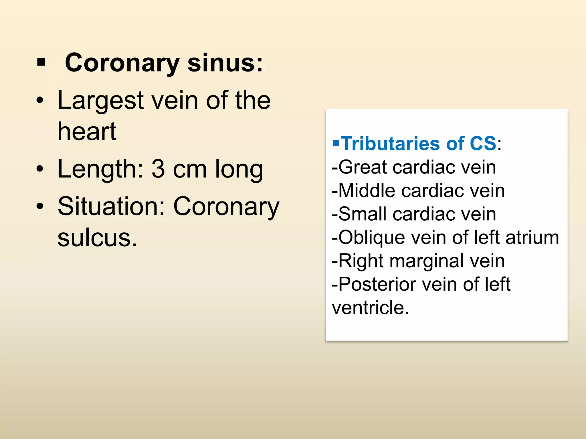 Regulation of Coronary Blood Flow | PPTX