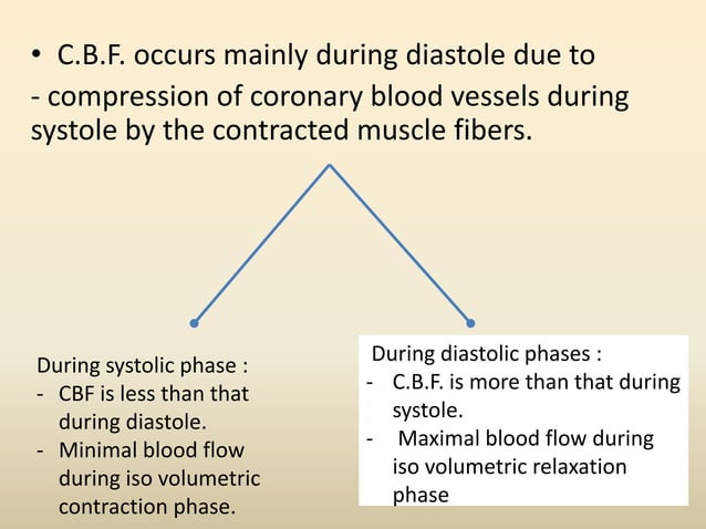 Regulation of Coronary Blood Flow | PPTX | Heart and Cardiovascular ...