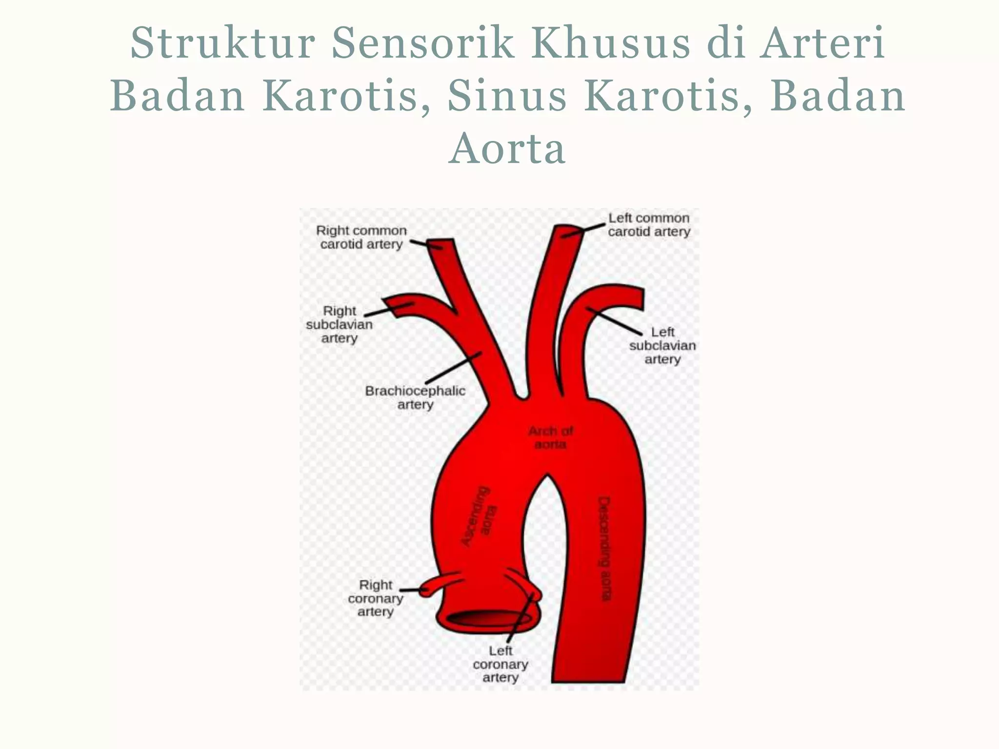 Ikasari-Anatomi-Fisiologi sistem kardiovaskuler.pptx
