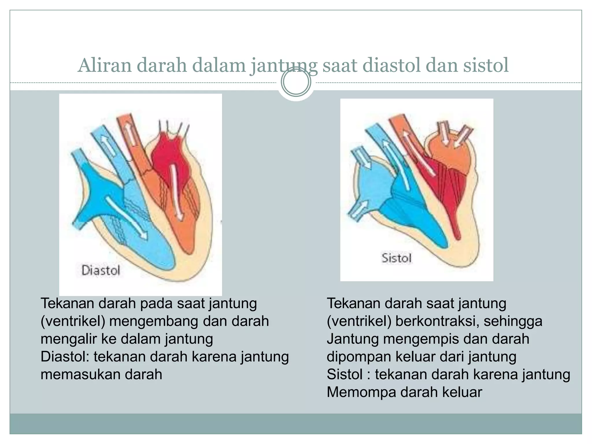 Ikasari-Anatomi-Fisiologi sistem kardiovaskuler.pptx