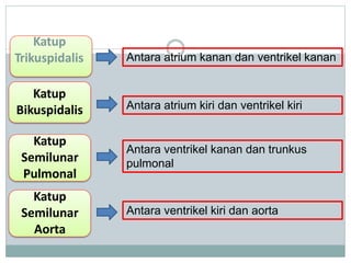 Ikasari-Anatomi-Fisiologi sistem kardiovaskuler.pptx