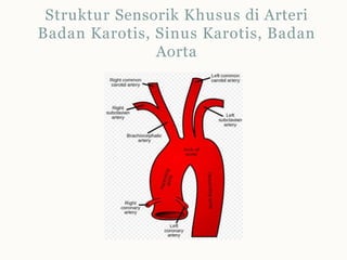Ikasari-Anatomi-Fisiologi sistem kardiovaskuler.pptx