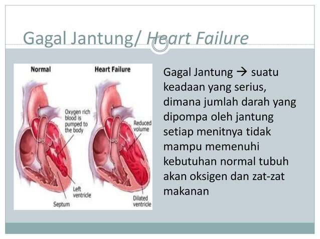 Ikasari-Anatomi-Fisiologi sistem kardiovaskuler.pptx | Free Download