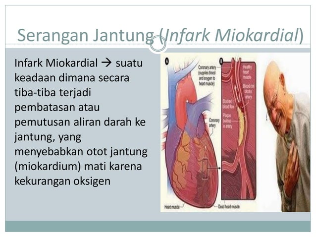 Ikasari-Anatomi-Fisiologi sistem kardiovaskuler.pptx | Free Download