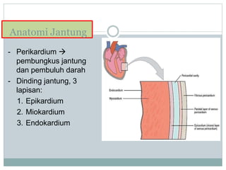 Ikasari-Anatomi-Fisiologi sistem kardiovaskuler.pptx