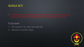 IKATAN DAN SIMPULAN.pptx