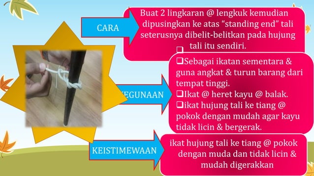 Ikatan dan simpulan asas | PPTX