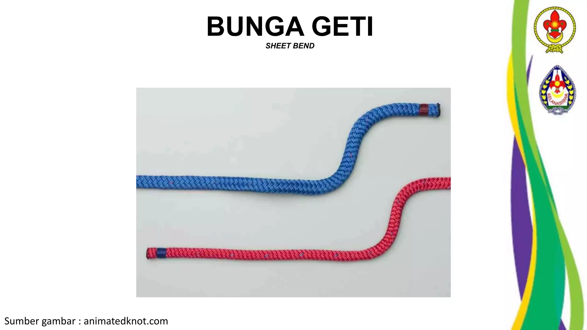 Pengakap : Ikatan lencana keahlian | PPTX