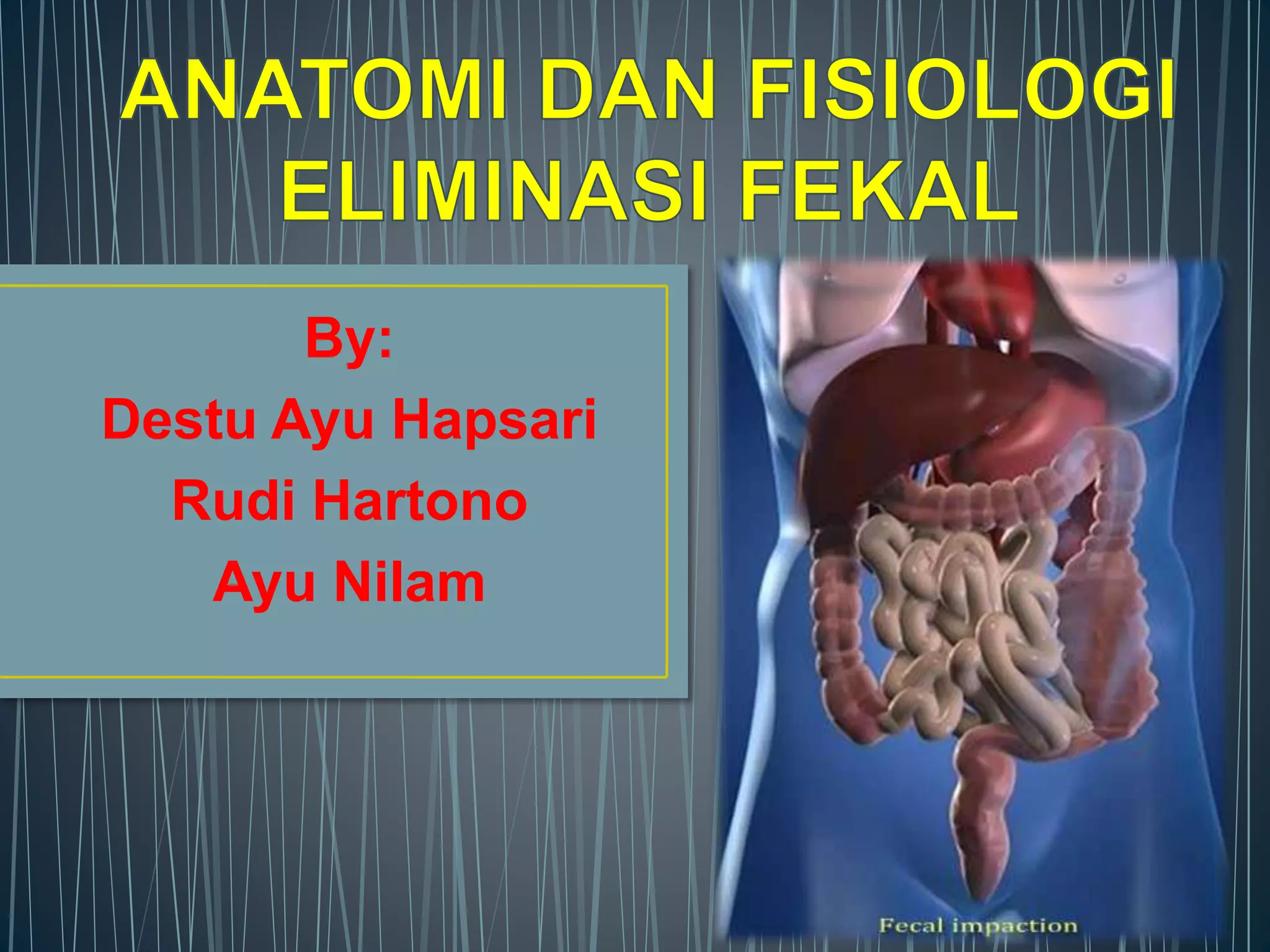 Anatomi dan Fisiologi Eliminasi Fekal | PPTX