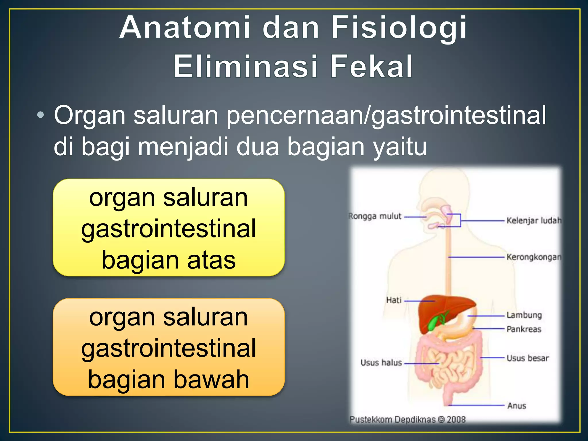 Anatomi dan Fisiologi Eliminasi Fekal | PPTX