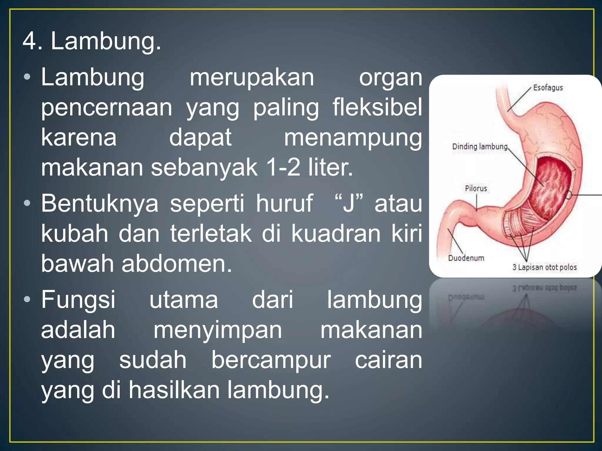 Anatomi dan Fisiologi Eliminasi Fekal | PPTX