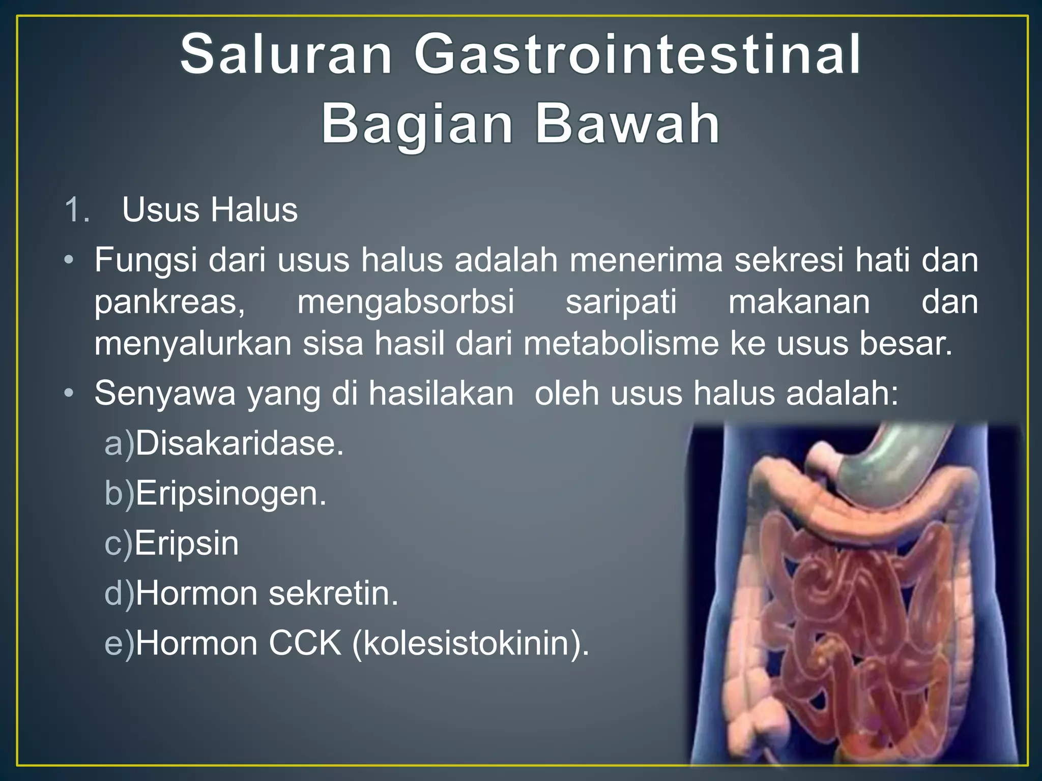 Anatomi dan Fisiologi Eliminasi Fekal | PPTX